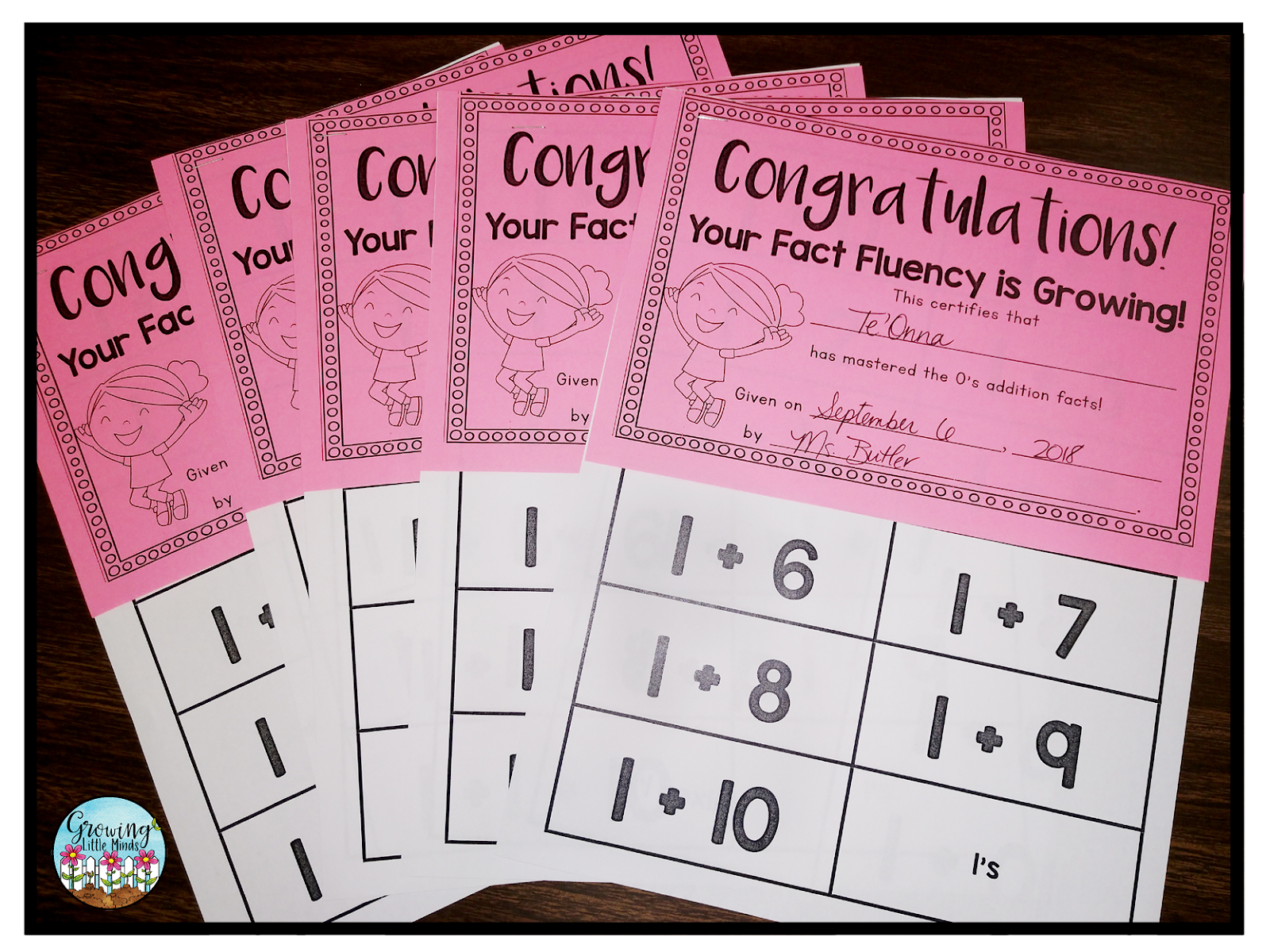 Growing Little Minds: How to Begin a Fact Fluency Program in your ...