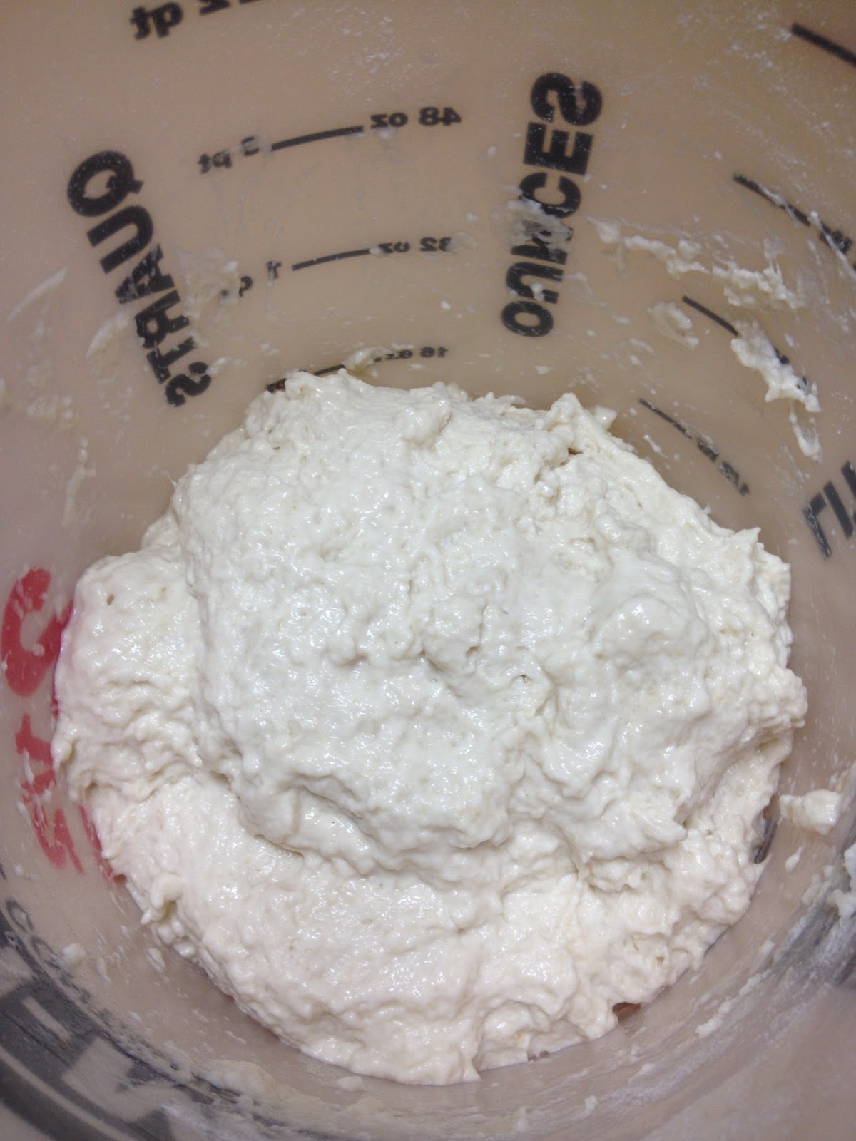 Tracy Cooks in Austin: Single Italian Crusty Loaf