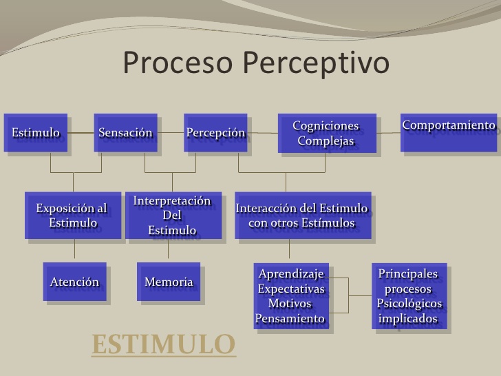 Psicología: Sensación y percepción.