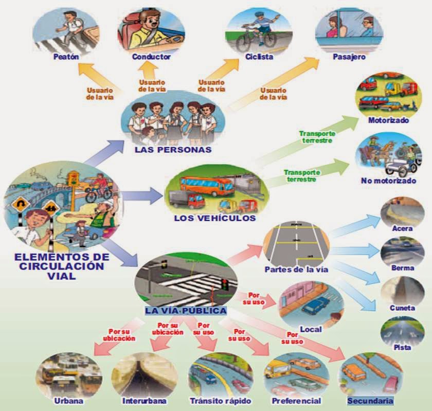 Ciudadanos en Acción: SEGURIDAD VIAL, ES RESPONSABILIDAD DE TODOS