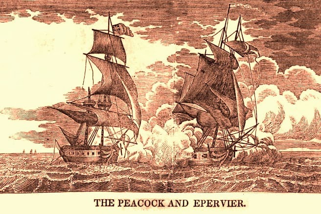 War of 1812: Phoebe - Essex - Peacock