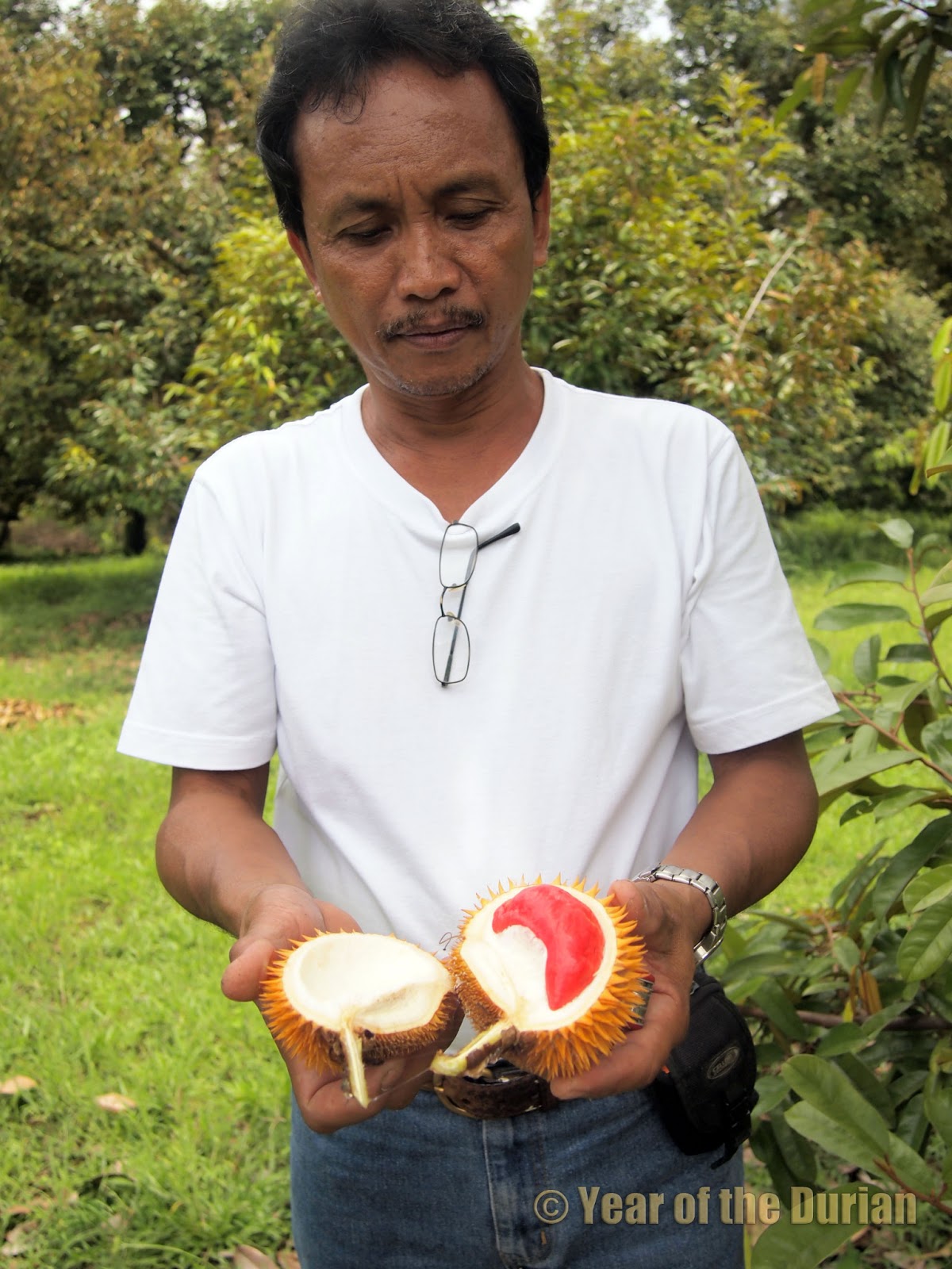 Philippine Food Illustrated: dugyan