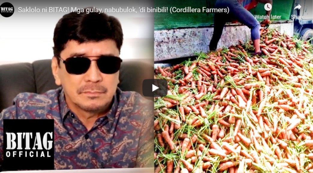 Concerned farmer's daughter from Benguet reaches out to Ben Tulfo's ...