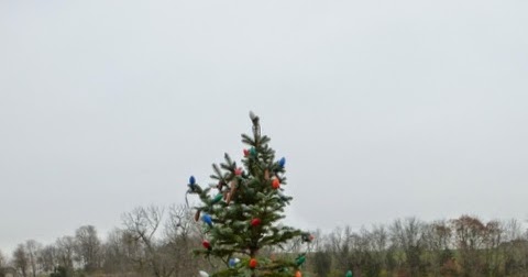 The Easily Influenced Stitcher: Eye-yi-yi!!!