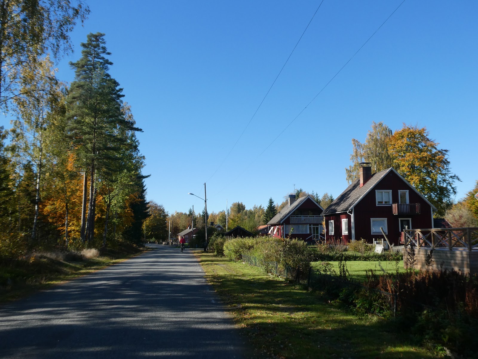 Skånska Resor: På cykel genom Stenriket