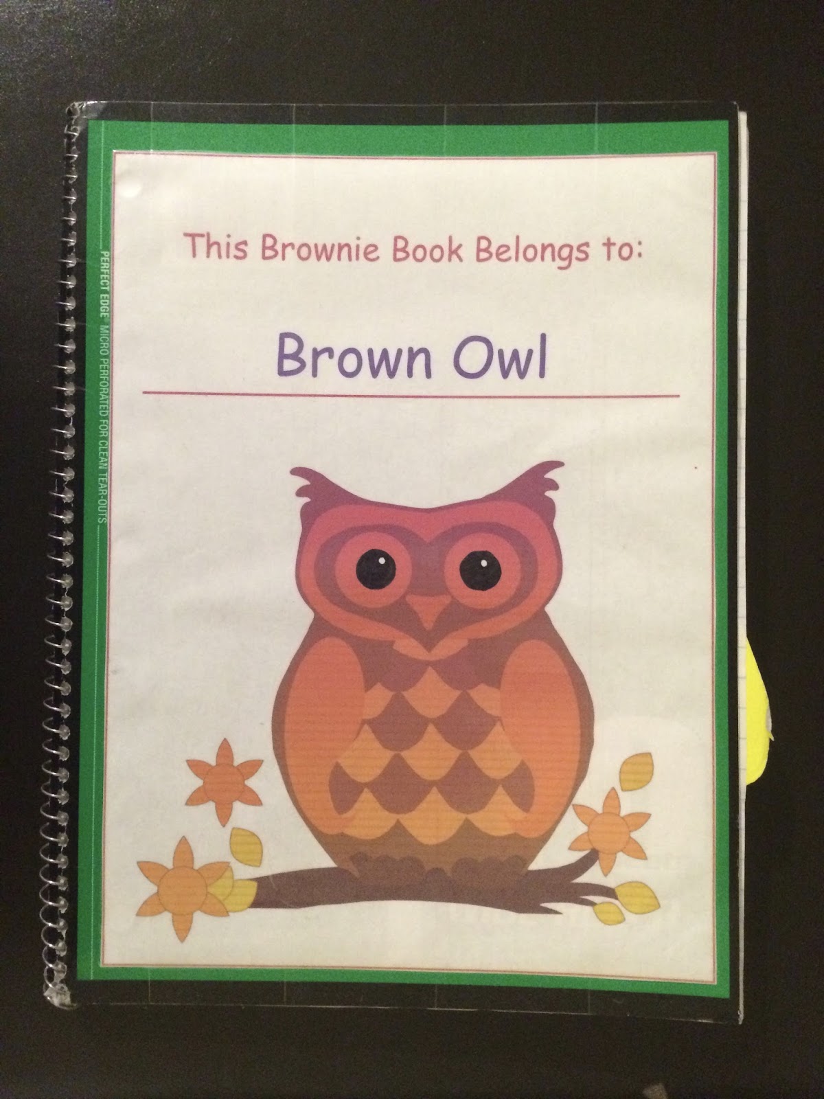 Brown Owl's Adventures in Guiding: Unit Resources