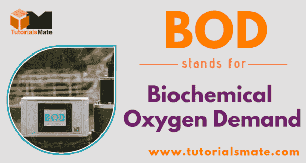 BOD Full Form: What is the full form of BOD? - TutorialsMate