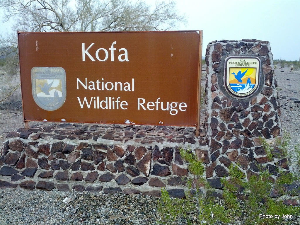 Just Finding Our Way: Kofa National Wildlife Refuge