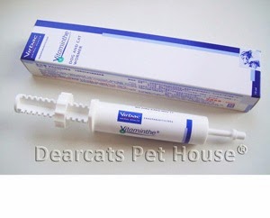 Prazivet - Dewormer for cats - MY PET STATION