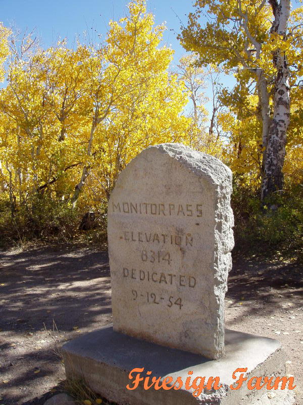 Firesign Farm: Bathtime for Boris; Monitor Pass Colors