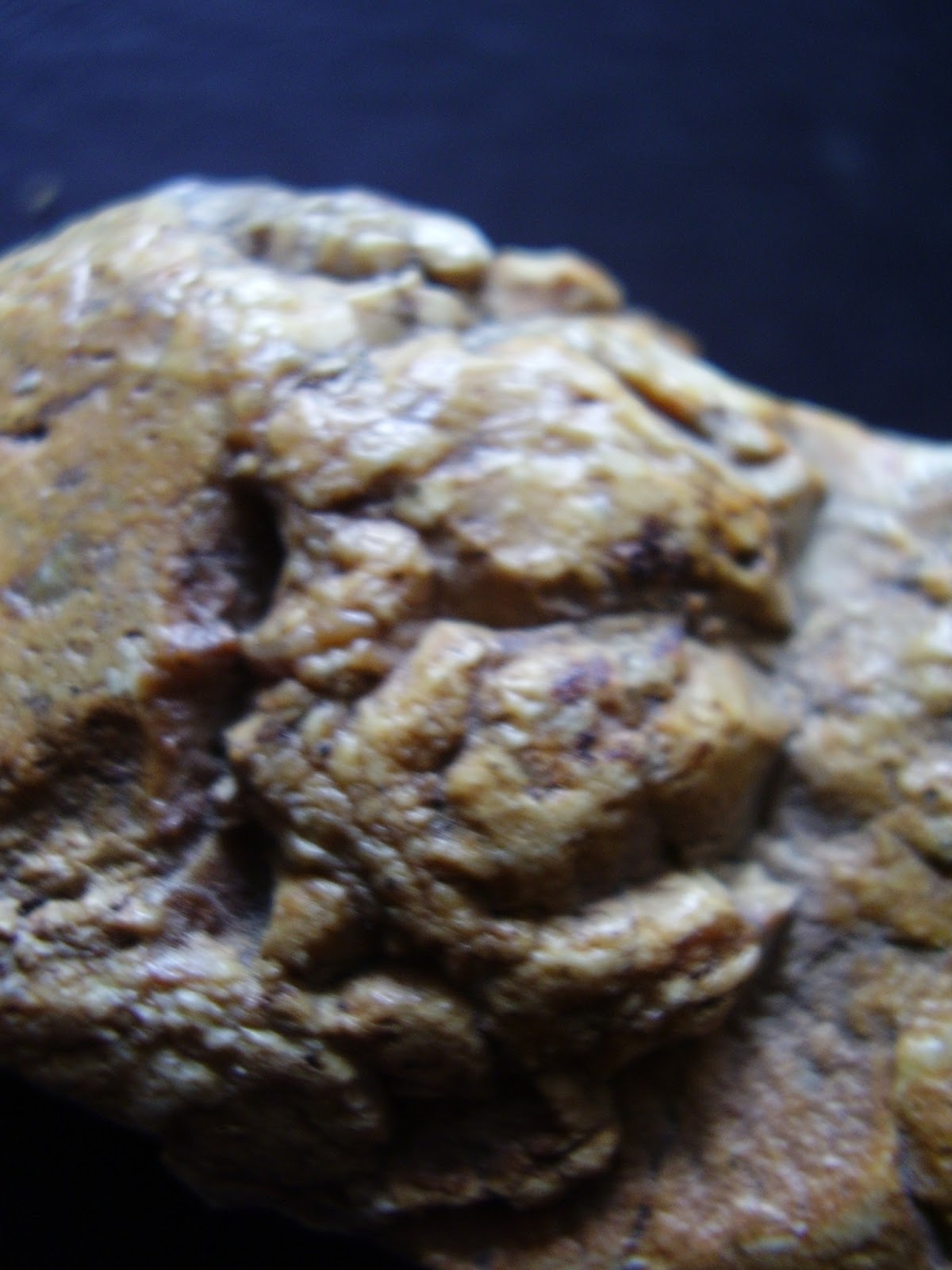 Archaeology of Portable Rock Art: Oregon burin flakes join flock of ...