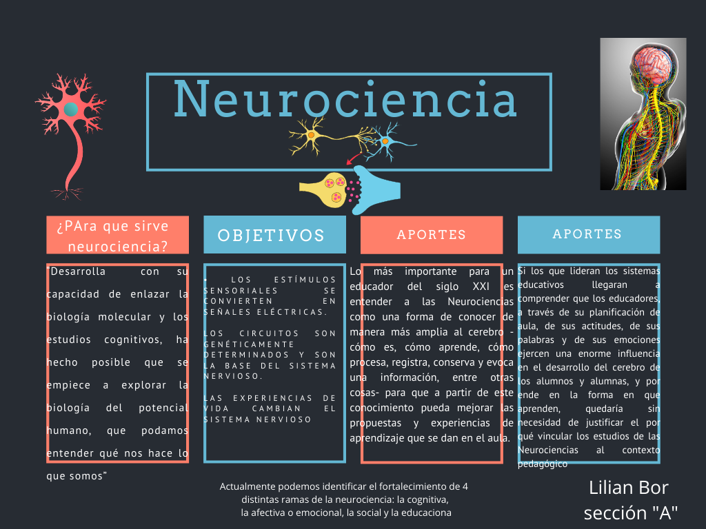8 Ideas De Neurociencias Neurociencia Mapa Conceptual Aprendizaje Porn Sex Picture