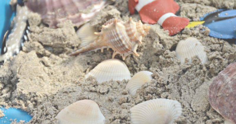 Free Ocean & Beach Themed Therapy at Home Activity Guide | And Next ...