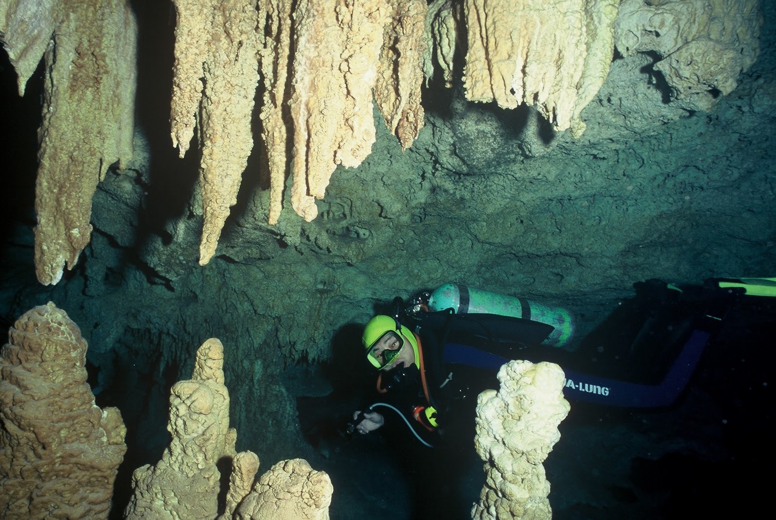 Diving Into Bat Infested Waters!