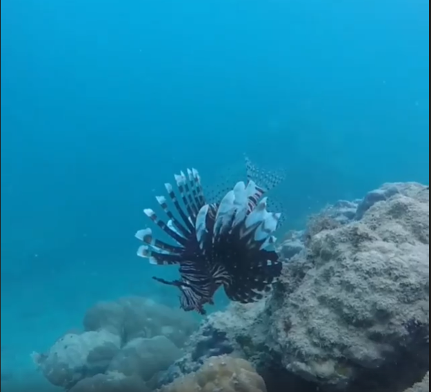 Travel Guide to Anywhere: 2021 Lubang Island Hidden Paradise of Mindoro