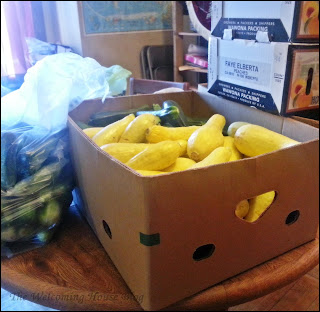 When the Squash takes over your dining room.....and a recipe to use it ...