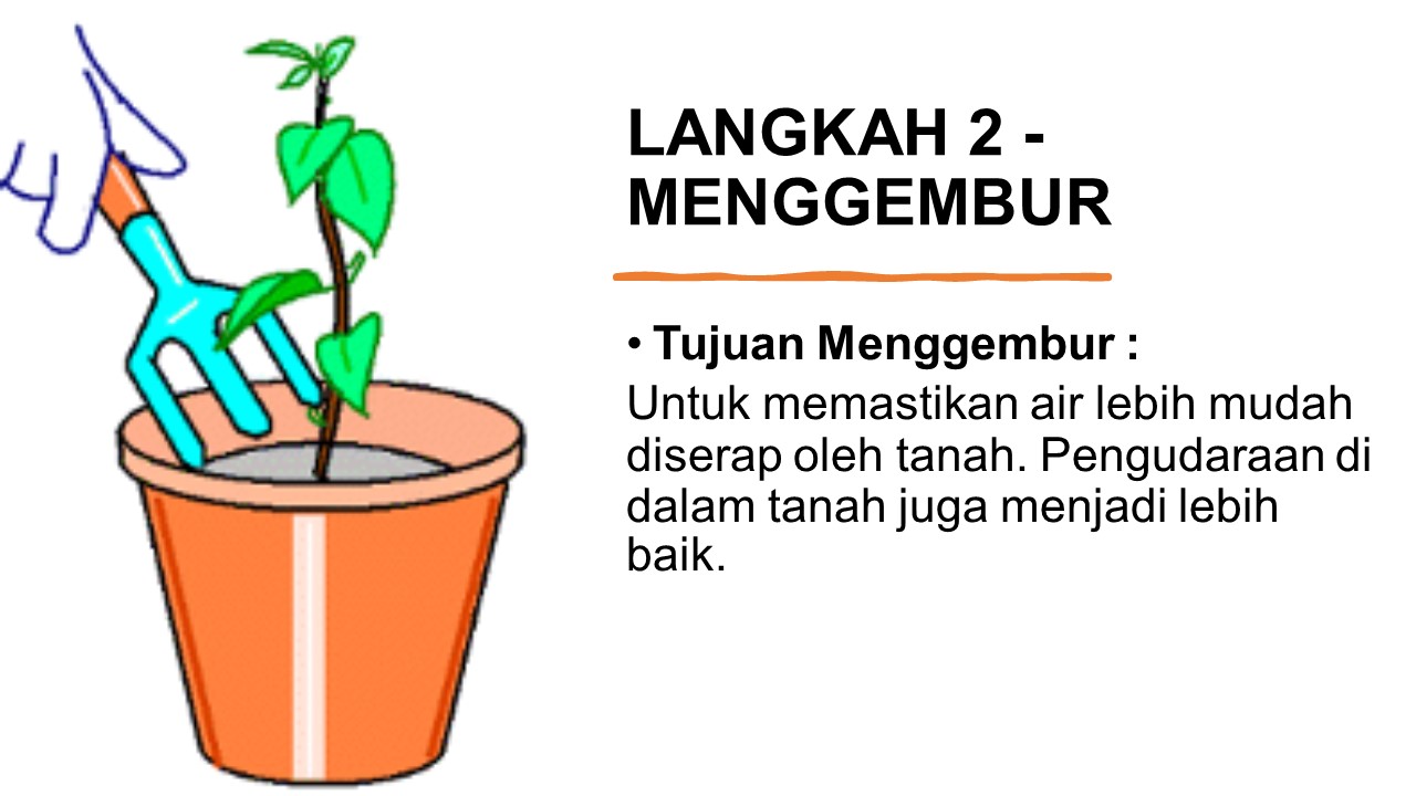 REKA BENTUK DAN TEKNOLOGI: Penjagaan Tanaman