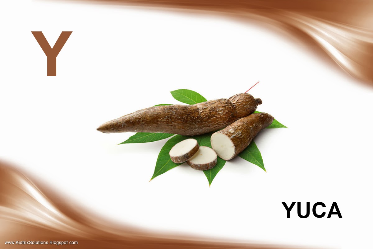 Kidtrix: Vegetables - ABC