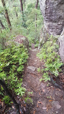 Steventure: Gerringong Falls - Reaching the Bottom