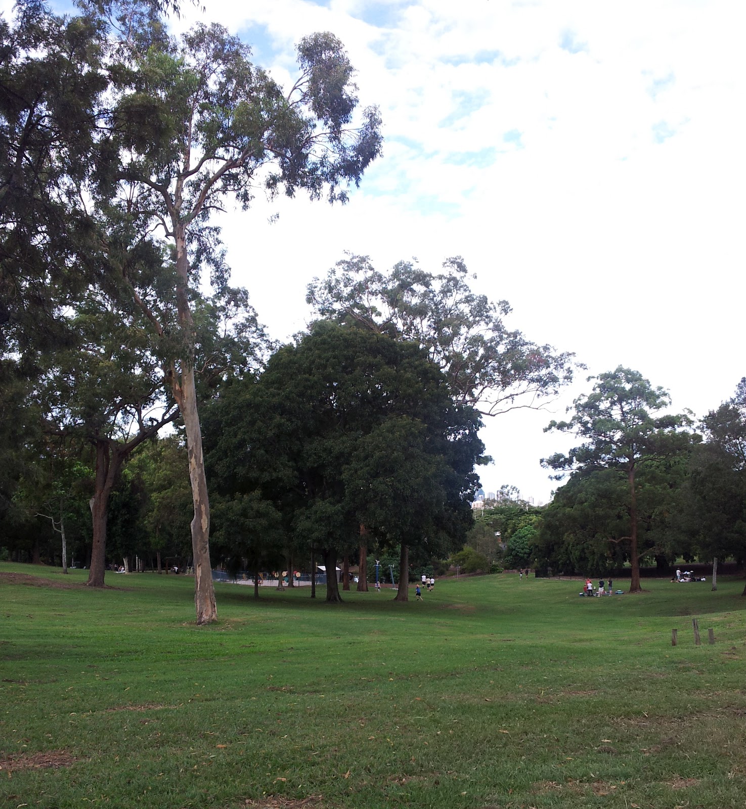 'Friends of ANZAC Park' Toowong (FAPT)