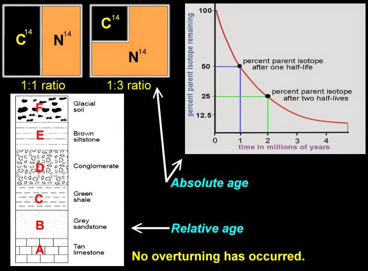 EVERYTHING ABOUT ARCHAEOLOGY: WHAT IS THE ABSOLUTE AGE