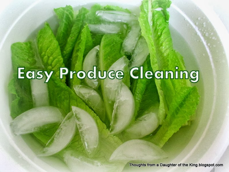 Thoughts from a Daughter of the King : {Easy} Veggie Wash / Sponge Wash ...