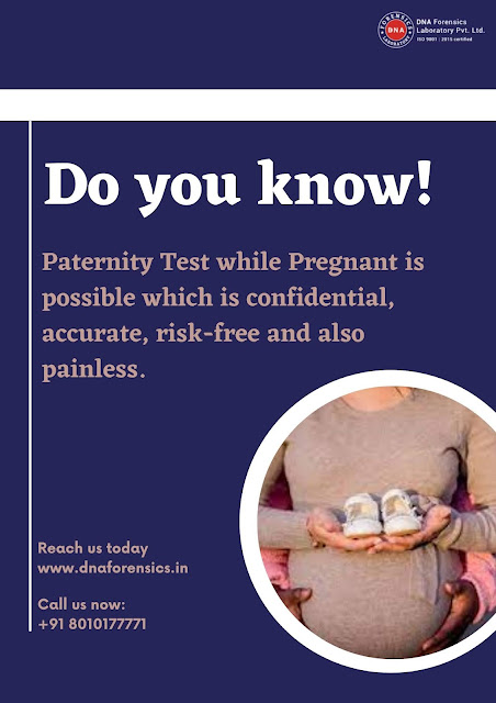 Can a DNA test determine paternity during pregnancy?