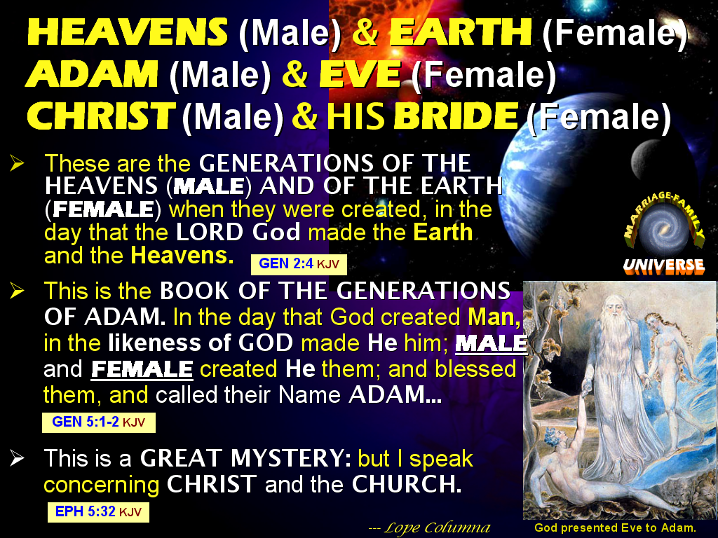 The MARRIAGE AND FAMILY UNIVERSE: The SECRET OF MALE AND FEMALE, NOW ...