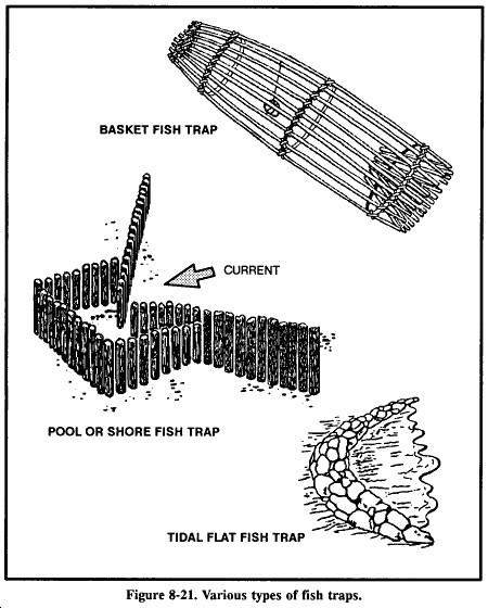 Survival Basics and How To Survive: Improvised Fishing Traps