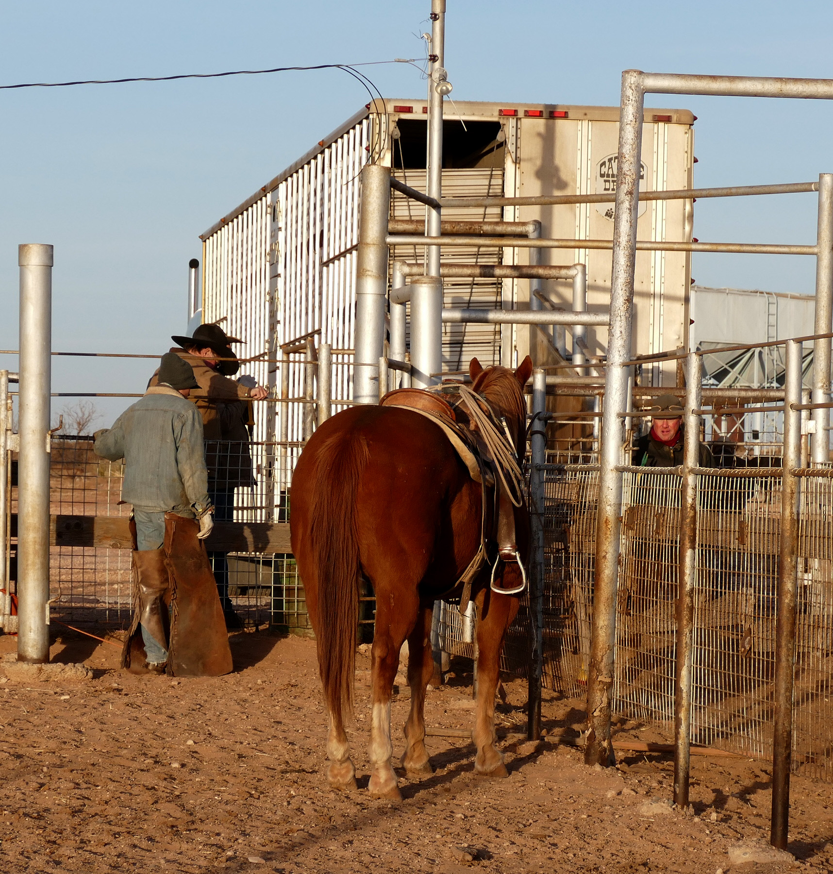 Lovin' Life At The End Of The Dirt Road: Cattle - Cooking - Cookies