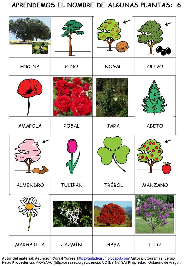 AUDICIÓN Y LENGUAJE: abril 2020