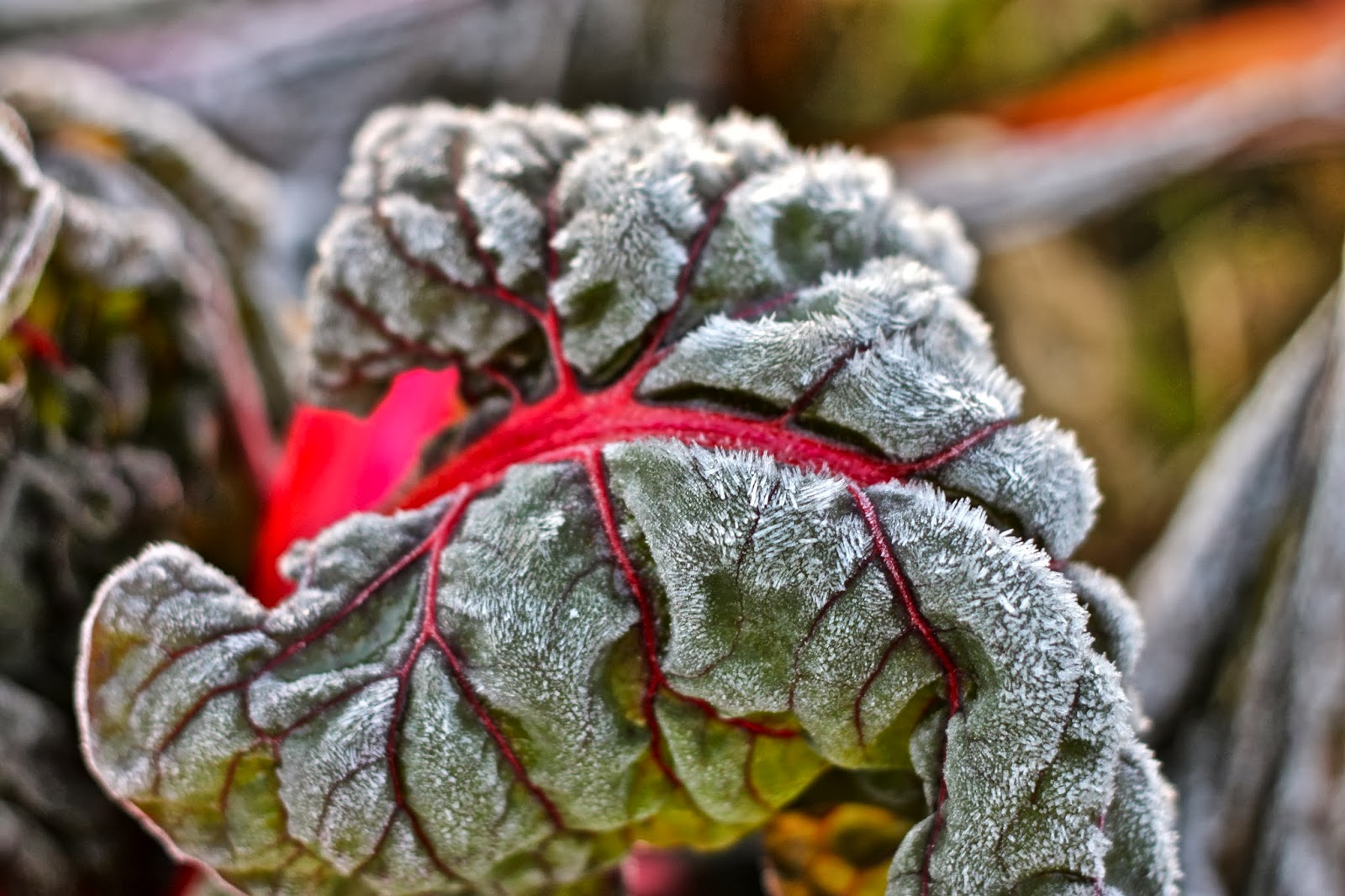 Keeping the Wonder : Sleepy mind. Cold feet.