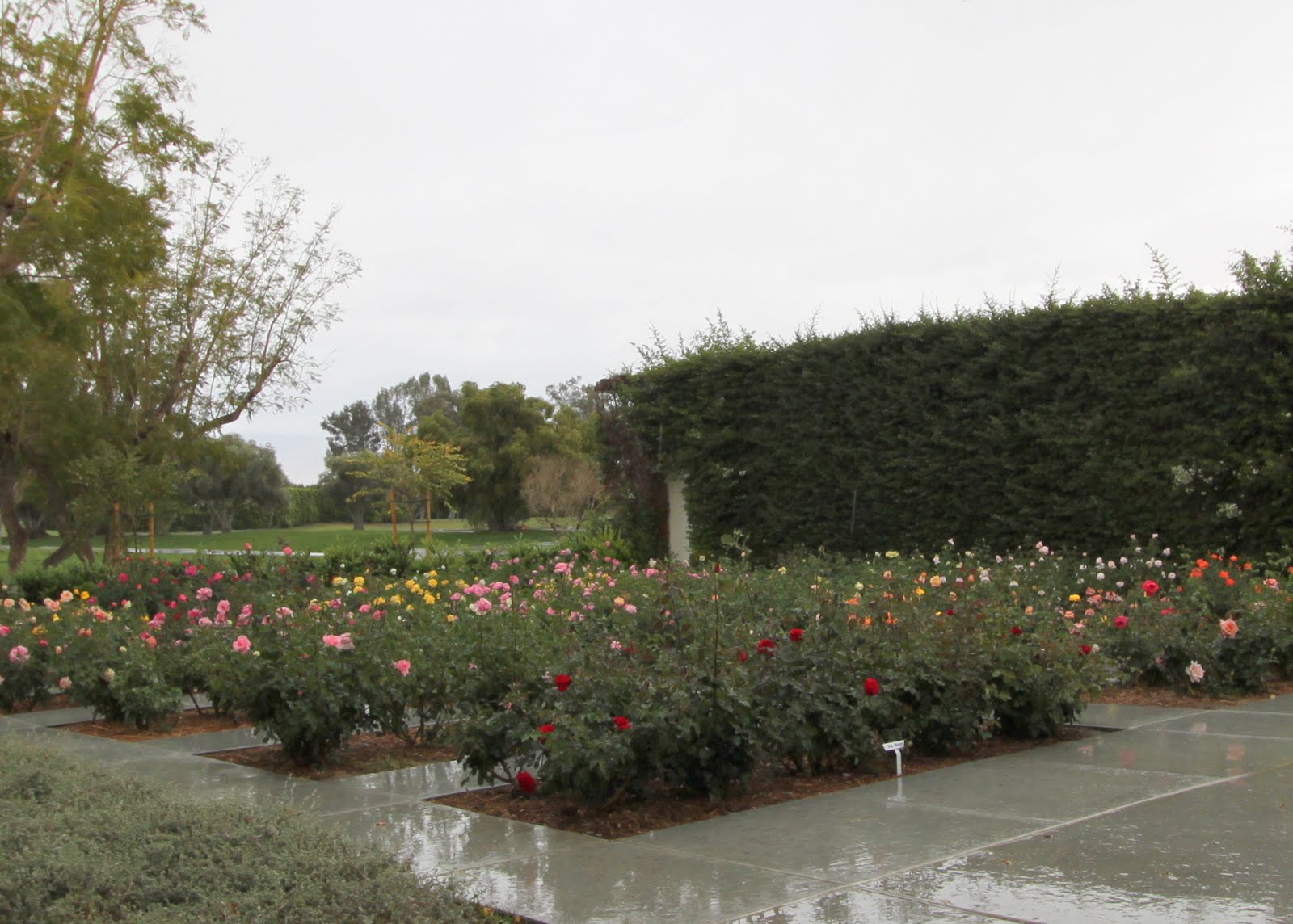 sunnylands - a mid-century modern for the rich and famous | mid-century ...