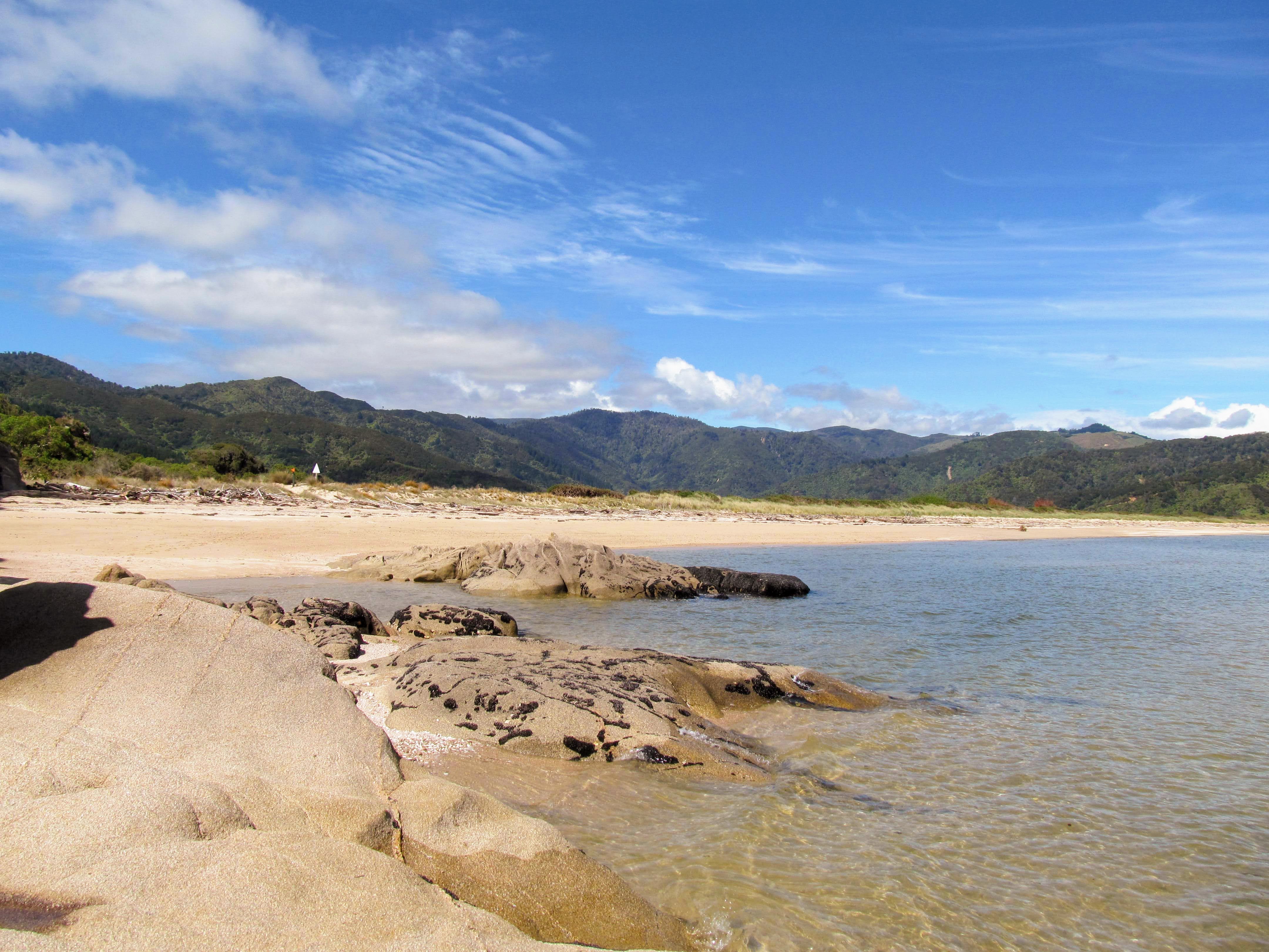 Tramping in the New Zealand backcountry: NZ Bush Adventures: Wainui ...