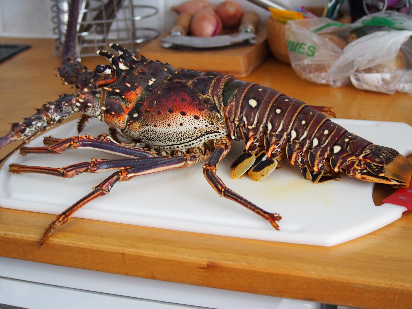 LANGOUSTE GRILLEE | Paroles de diet