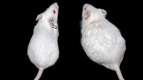 Cal Poly BIO 502: It's the inside that counts.