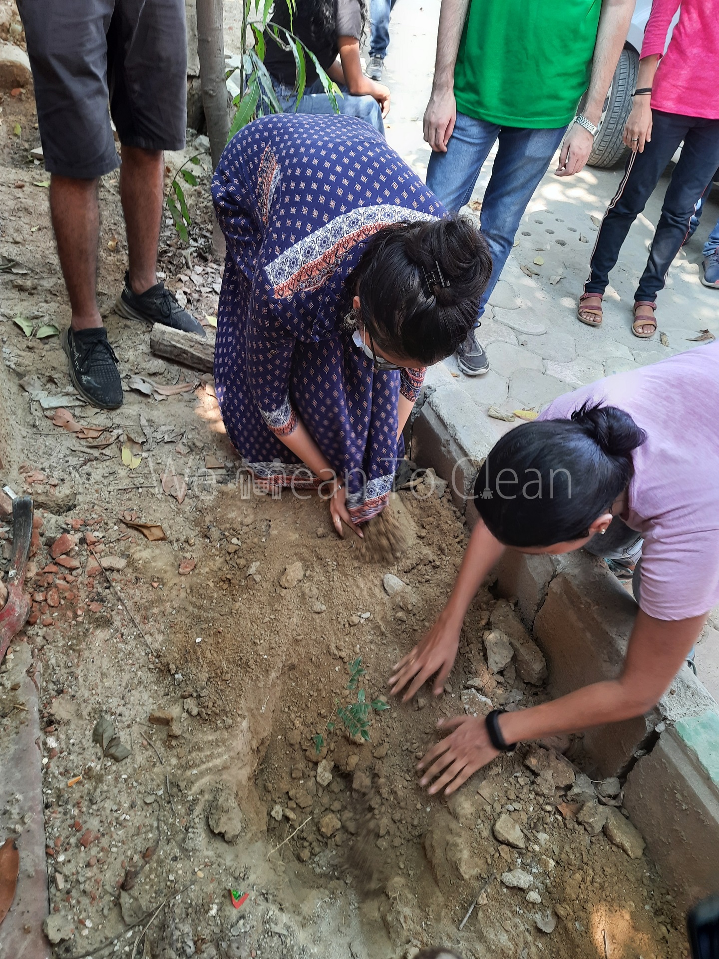 Native Tree Plantation on Our Seventh Anniversary