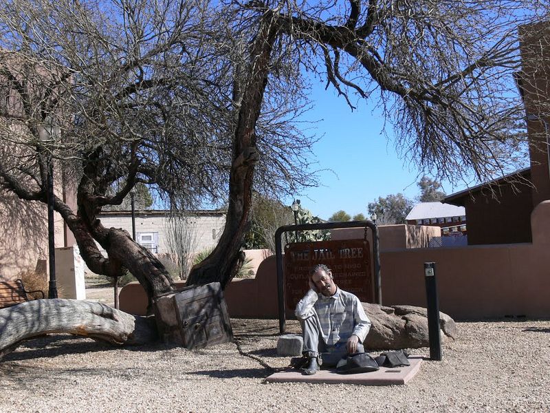 The Jail Tree of Wickenburg | Amusing Planet