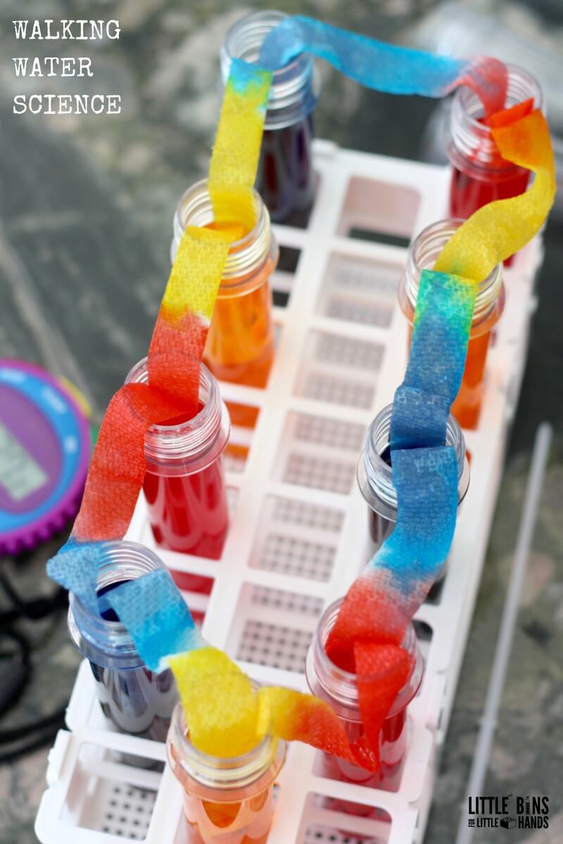 20 Easy and Fun STEM Science Experiments for Kids