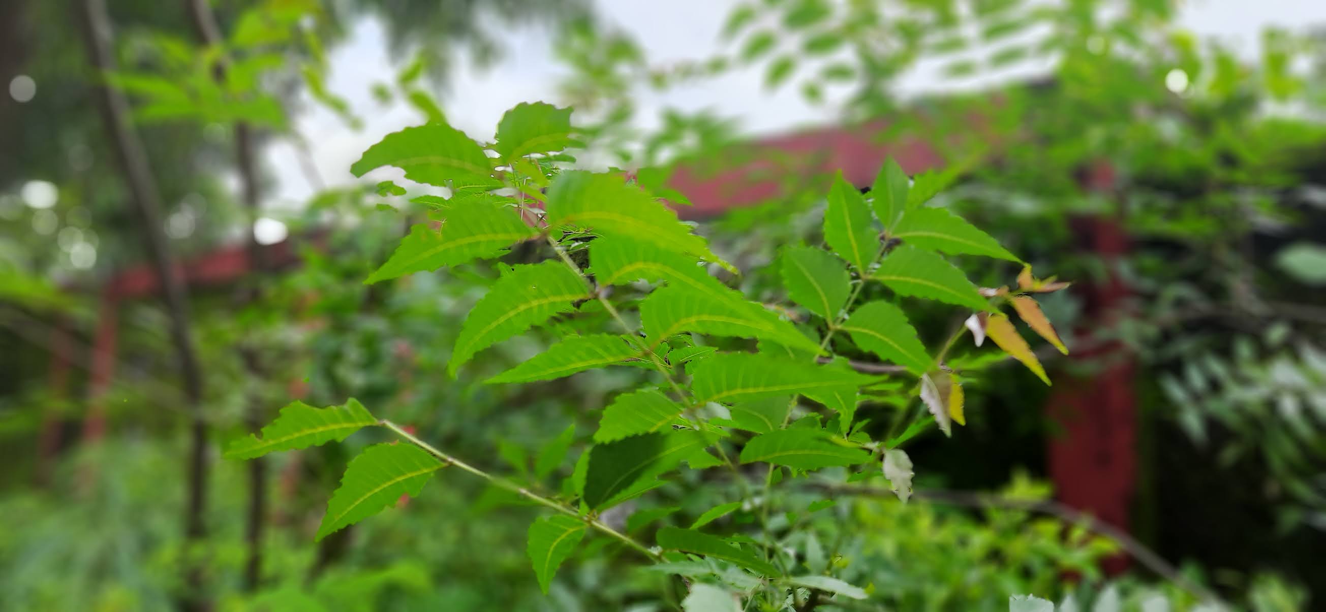 Sharad Pandhare's Educational Blog: Incredible Nature