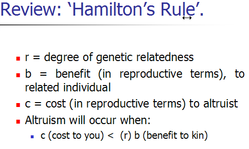 Desafiando a Nomenklatura Científica: A forma geral da regra de ...