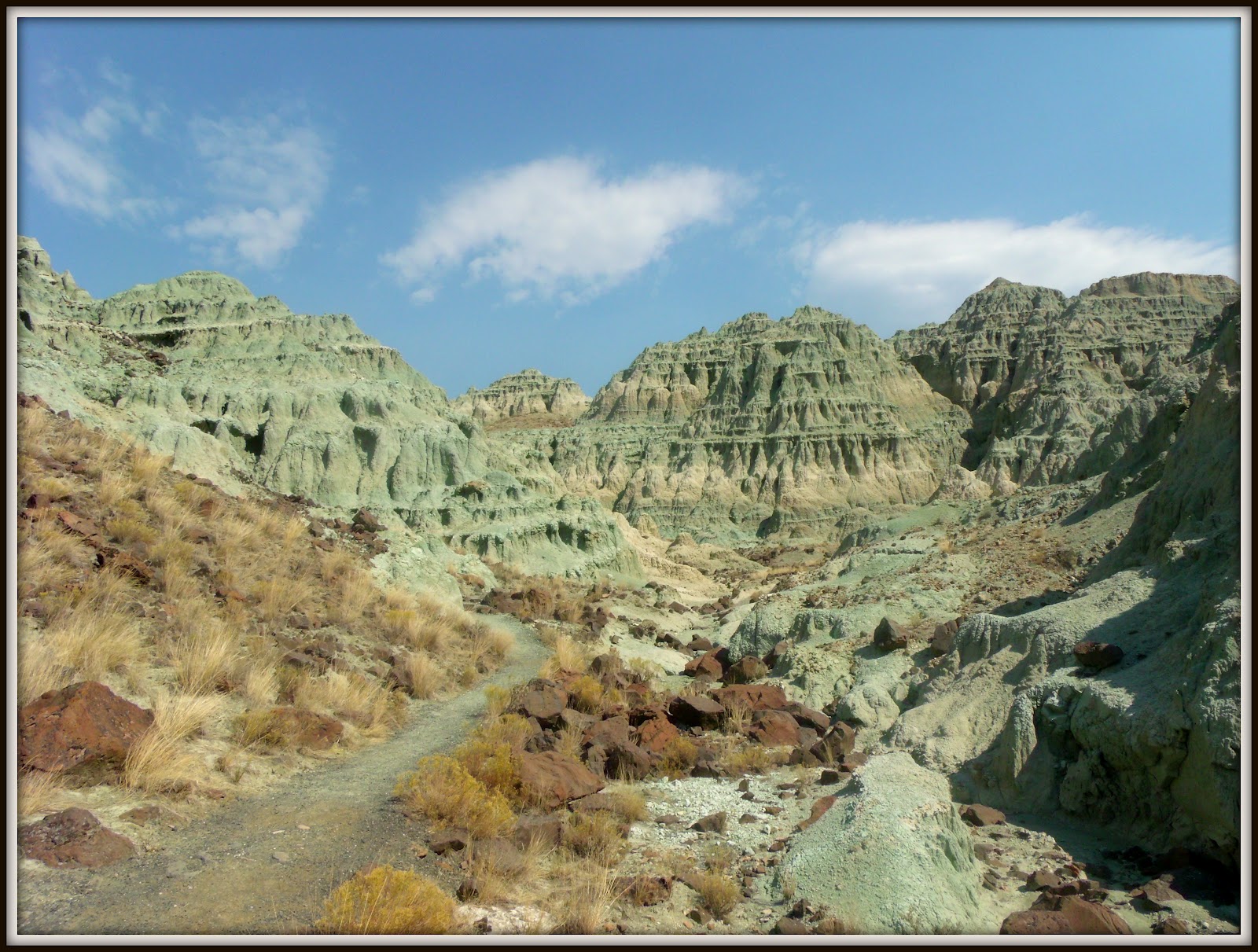 The Back Porch View: A Journey Through Time