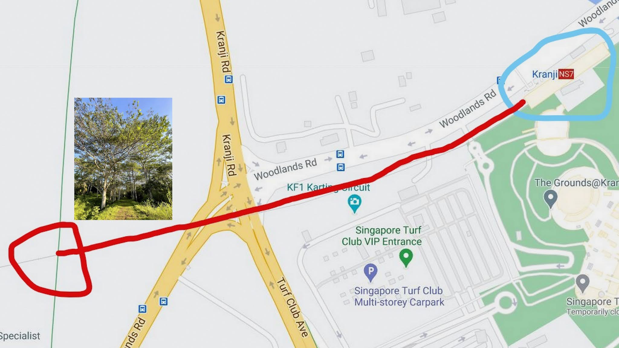 Cheekiemonkies: Singapore Parenting & Lifestyle Blog: [Easy & Gorgeous ...