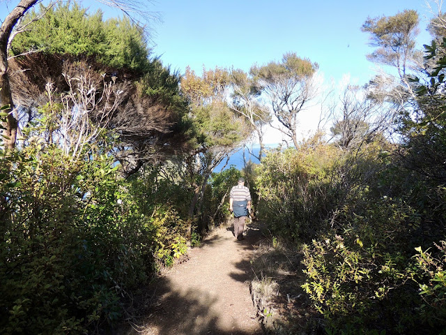 THE ROAD TAKEN : Busby Head Track