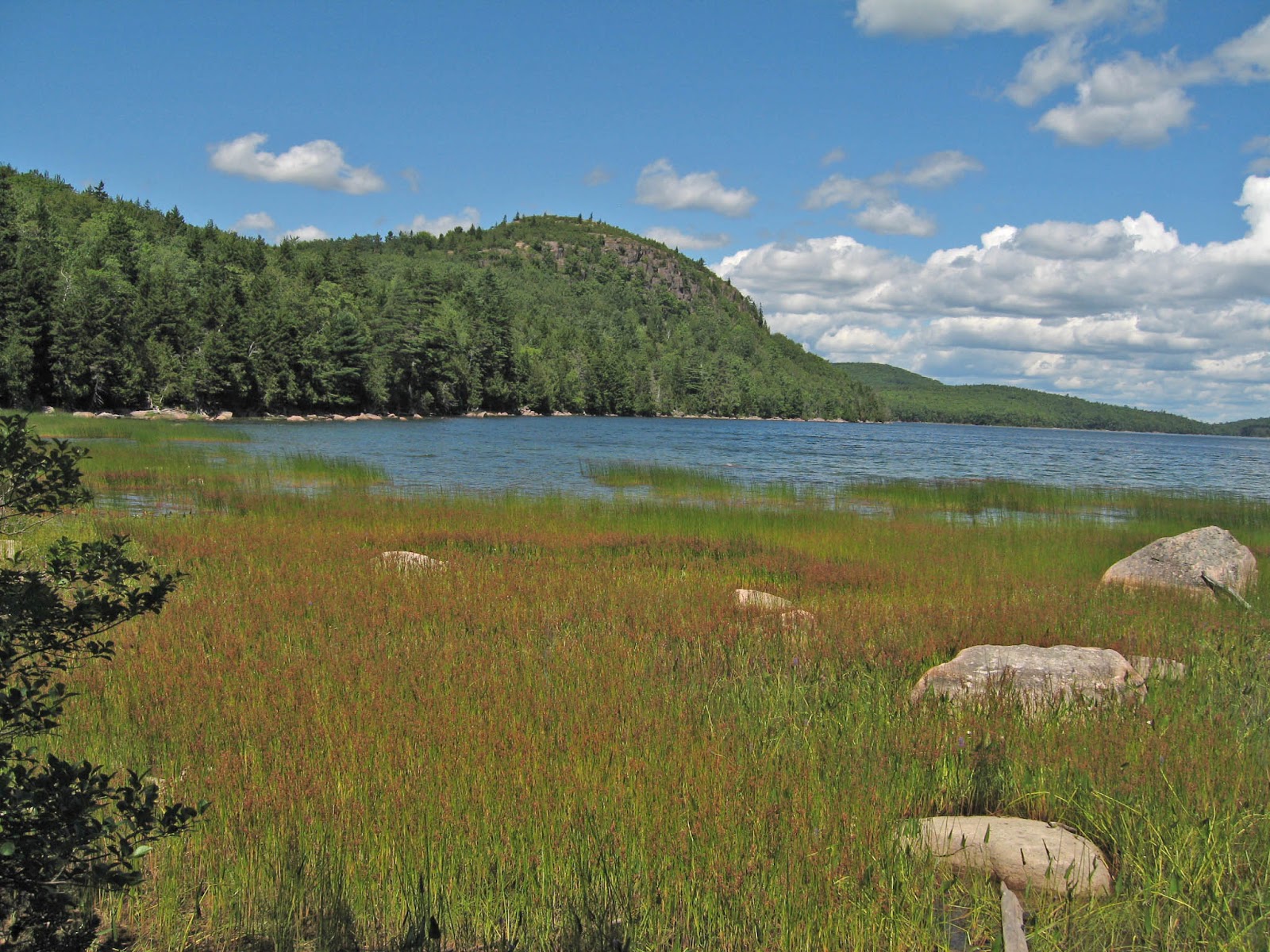 La Lair On Wheels: Acadia Rocks