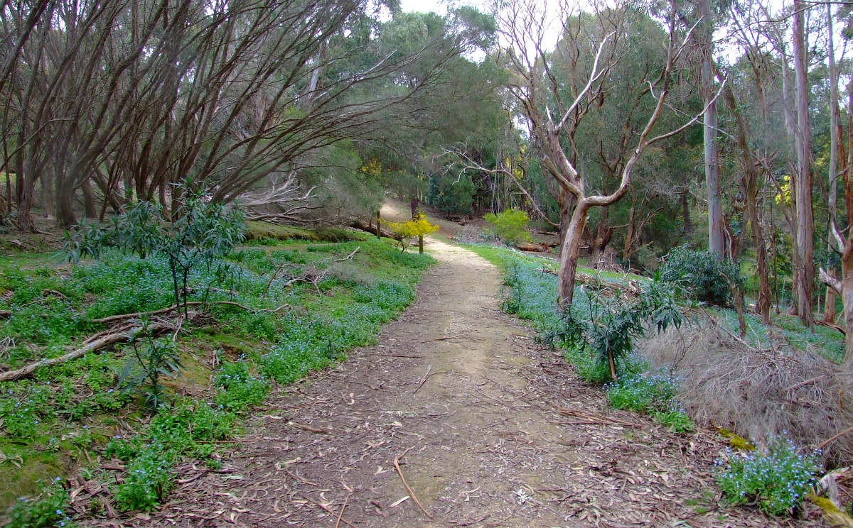 Meander to the Max: Farewell to Warrawong, Part 2: hike the whole site ...
