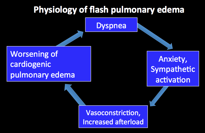 Dexmedetomidine to facilitate noninvasive ventilation