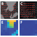 PIVlab - Digital Particle Image Velocimetry Tool for MATLAB