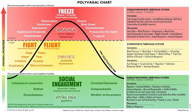 Coaching Your Brain: Gut feelings are real feelings