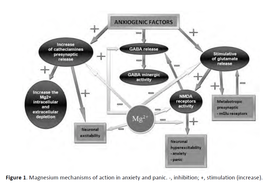 Epiphany: Magnesium in Autism and other Neurological/Psychiatric Diseases